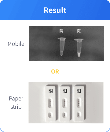 Get a Free Consultation